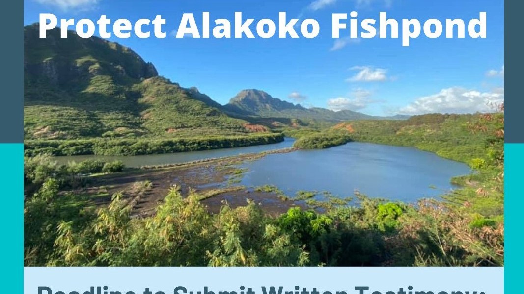 Malama Huleia – Using traditional Hawaiian practices to restore a free ...