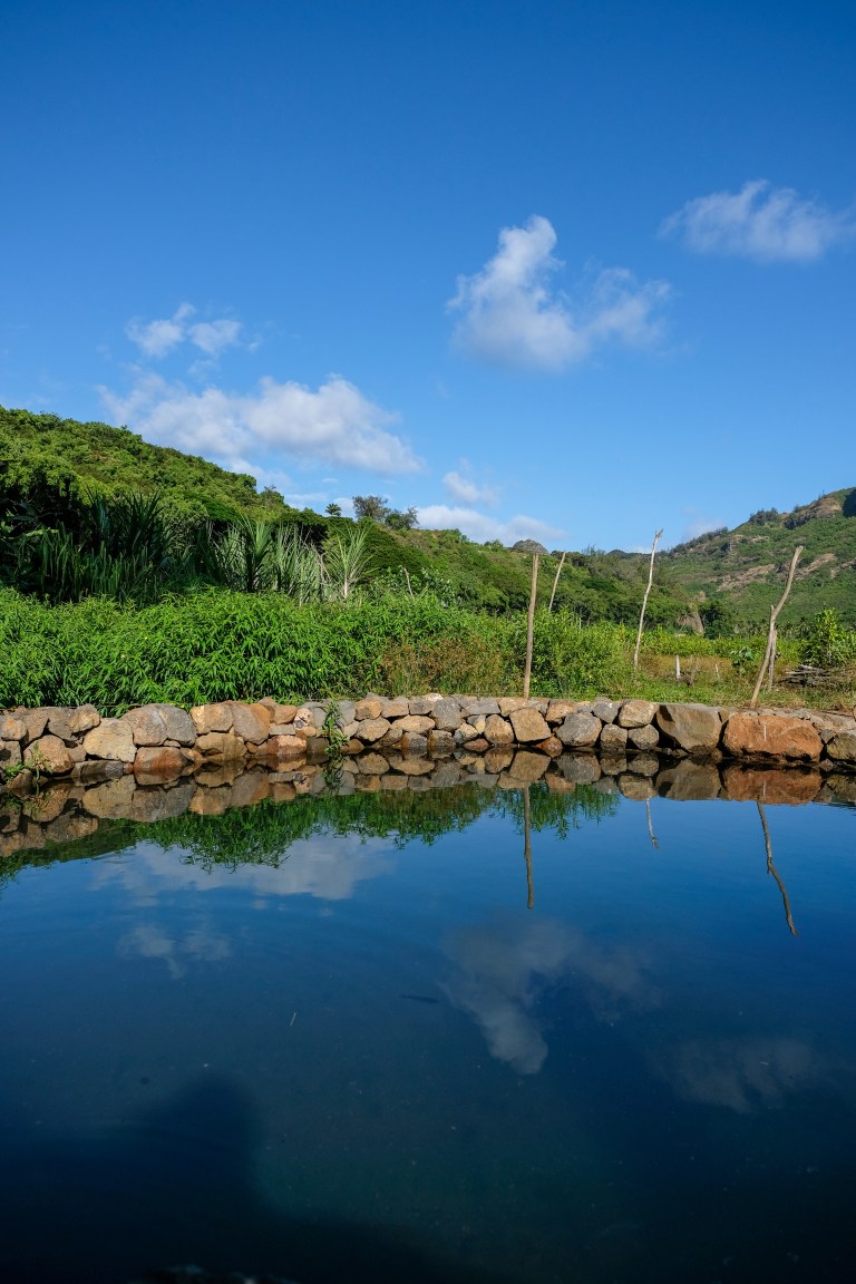 Mālama Hulē‘ia – Using traditional Hawaiian practices to restore a free ...